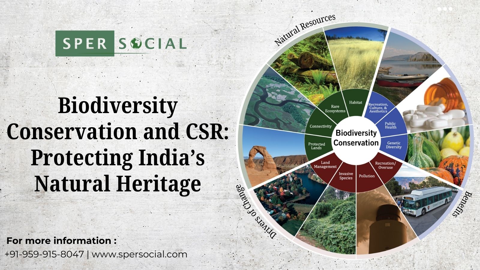 Biodiversity Conservation and CSR: Protecting India’s Natural Heritage
